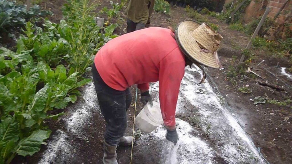 Beneficios de la Cal agrícola - MYCAL