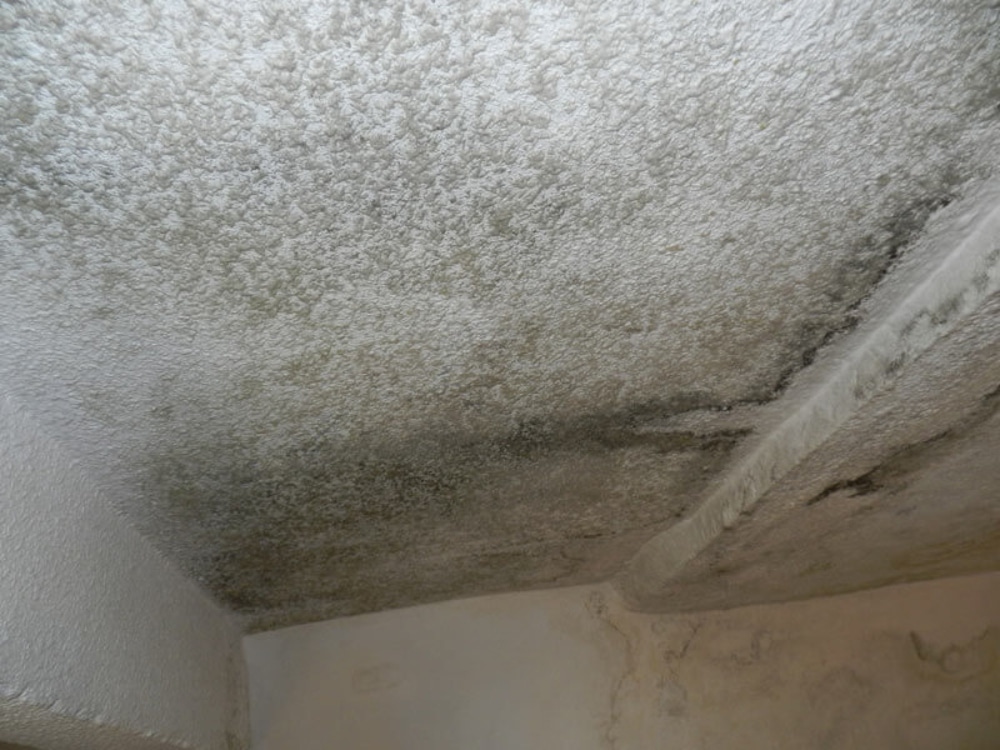 Que es la cal y sus características - MYCAL