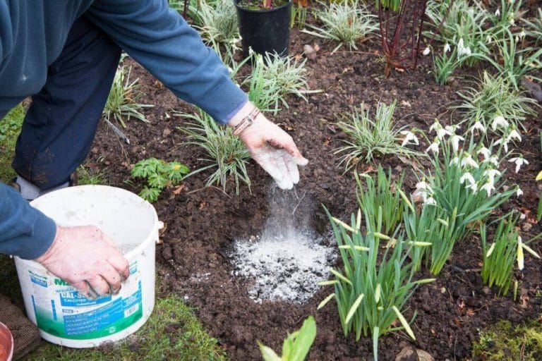 Que es la cal y sus características - MYCAL