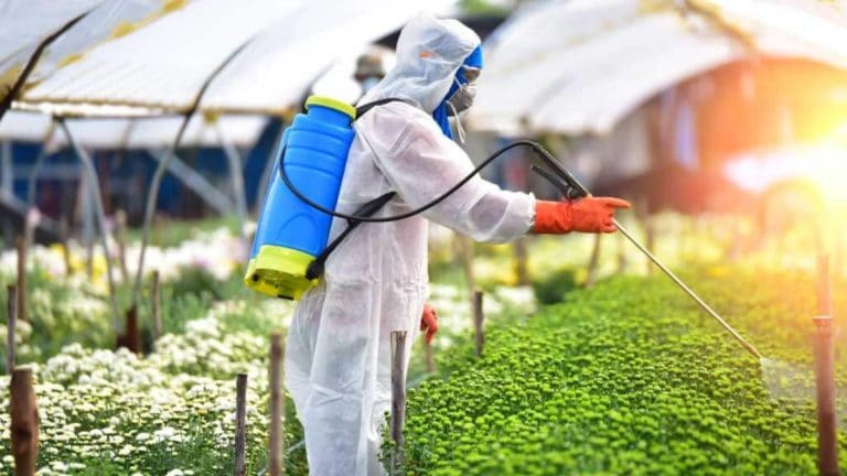 Que es la cal y sus características - MYCAL